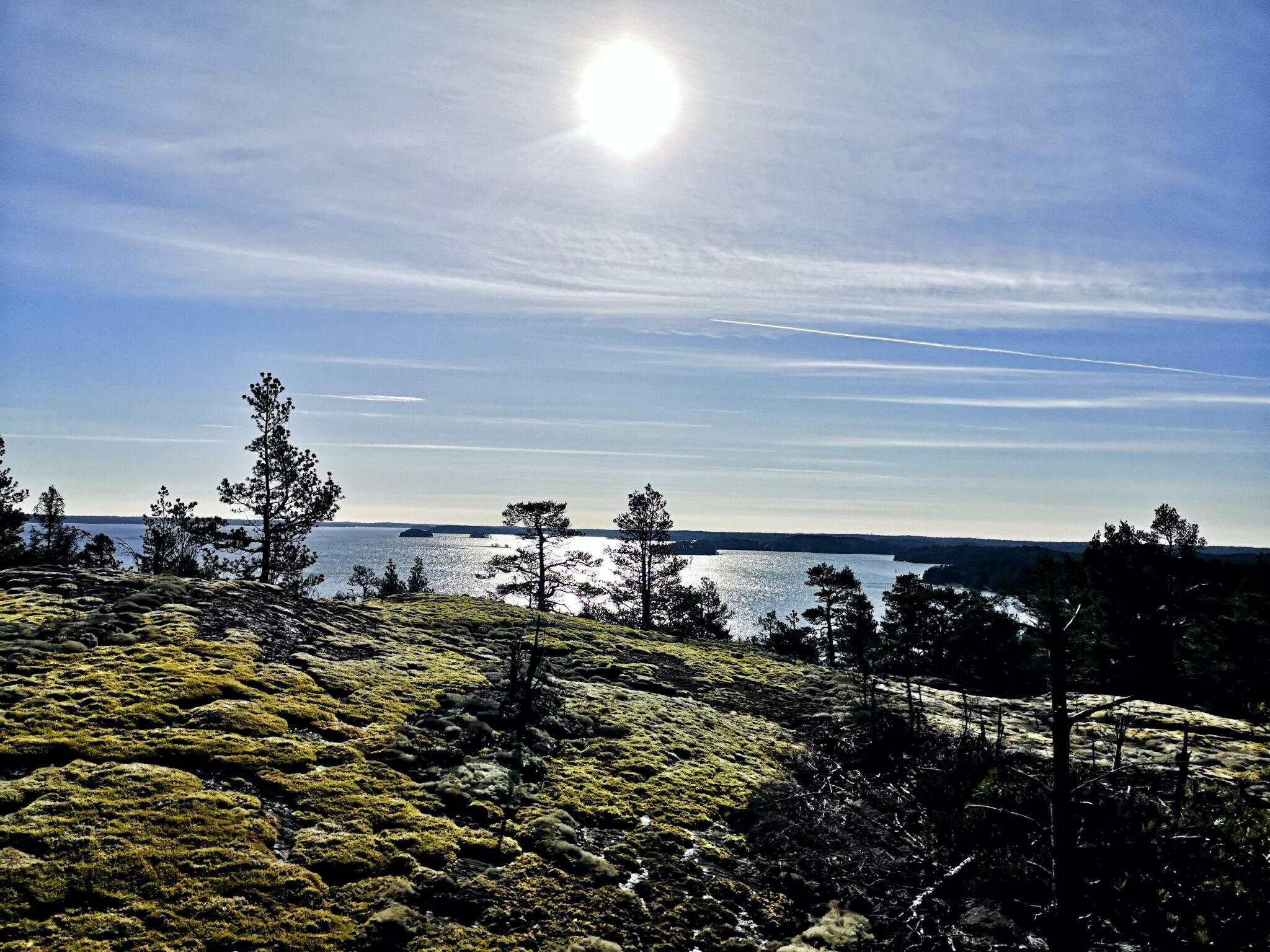 Suunnistuksen kevään suurtapahtuma lähestyy – Värska Originaal Finnish ...